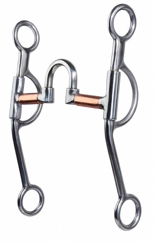 Professional's Choice Correction Bit with Loomis Shank – Pard's Western ...